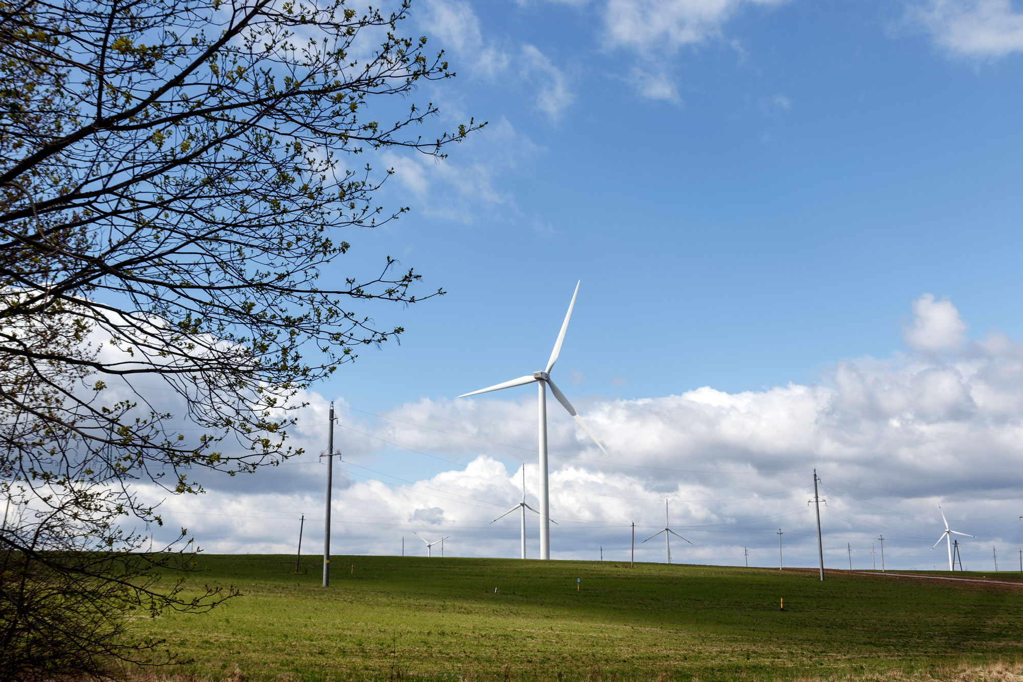 A gust of wind from Belarus